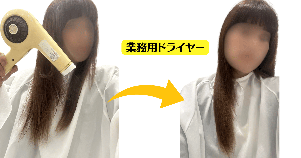 【買う価値アリ】レプロナイザー107D Plusと他のドライヤーとの違いを美容師が比べてみた
